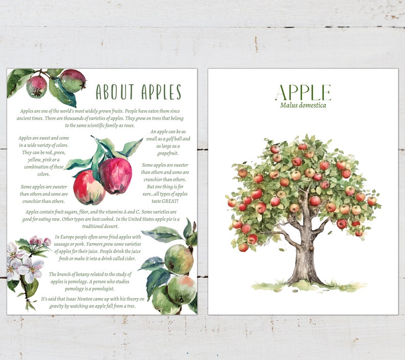 APPLE Unit Study, Life Cycle, Anatomy, Nature Study, Science ...