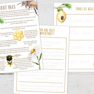 INSECTS BUNDLE, Bees, Ants, Ladybug, Butterflies Unit Studies ...