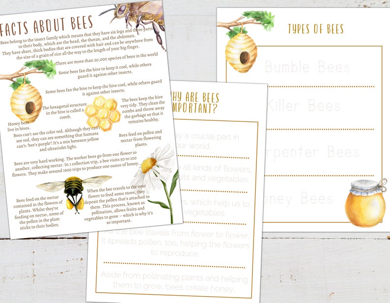 INSECTS BUNDLE Bees Ants Ladybug Butterflies Unit Studies - Etsy