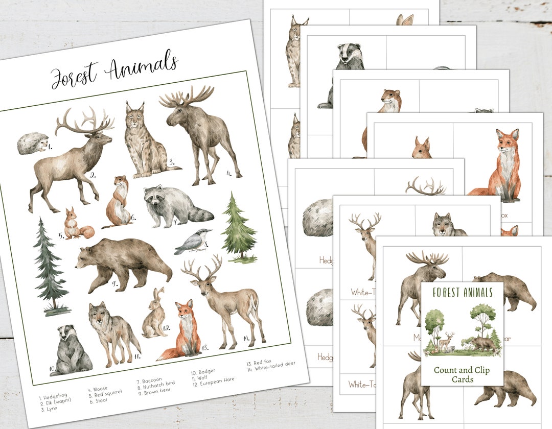 FOREST ANIMALS Mini Poster + 3-part Cards, Homeschool, Montessori ...