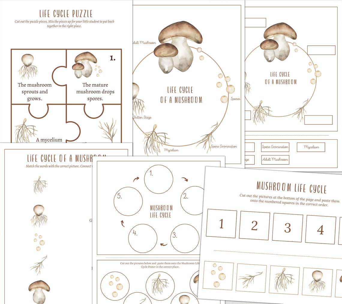 MUSHROOM Unit Study Life Cycle Anatomy Nature Study - Etsy