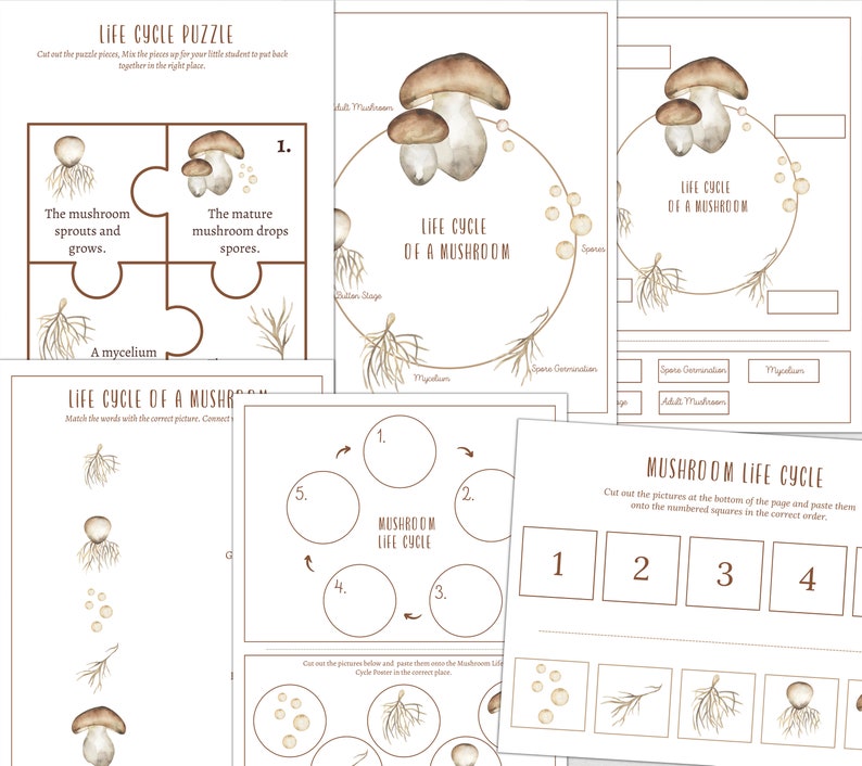 MUSHROOM Unit Study Life Cycle Anatomy Nature Study - Etsy