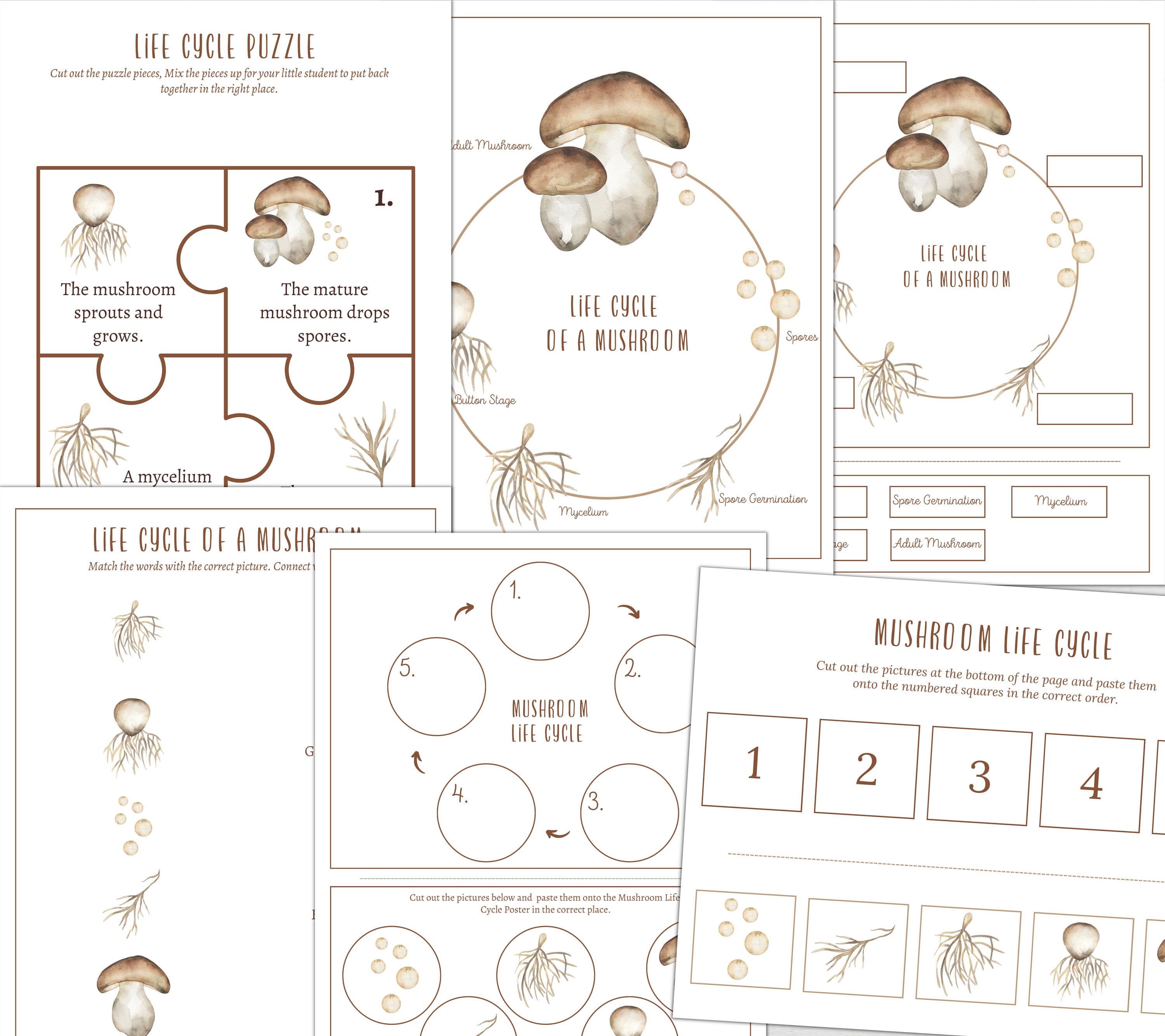 MUSHROOM Unit Study Life Cycle Anatomy Nature Study - Etsy