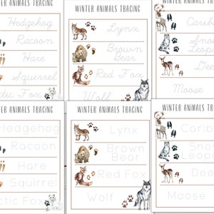 WINTER ANIMALS Unit Study, Life Cycle, Anatomy, Nature Study, Science ...