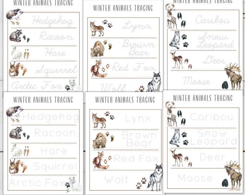 WINTER ANIMALS Unit Study, Life Cycle, Anatomy, Nature Study, Science ...