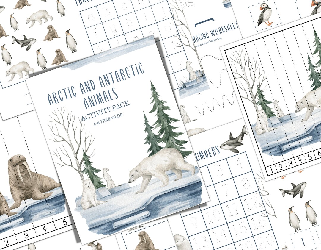 POLAR Animals Pre-k and K Activity Pack, Homeschool, Digital, INSTANT ...