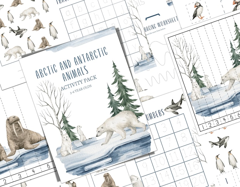 POLAR Animals Pre-k and K Activity Pack Homeschool Digital - Etsy