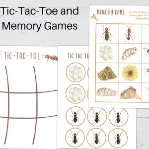ANT Unit Study, Life Cycle, Anatomy, Nature Study, Science, Homeschool ...