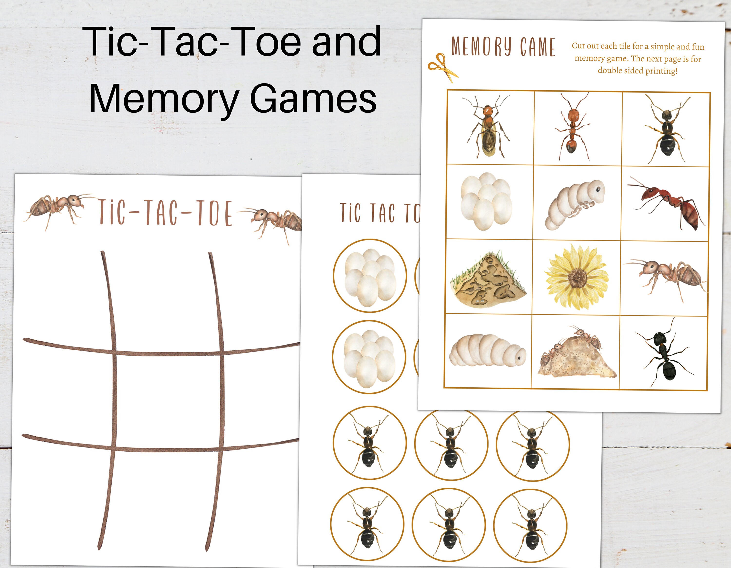 ANT Unit Study Life Cycle Anatomy Nature Study Science - Etsy Canada