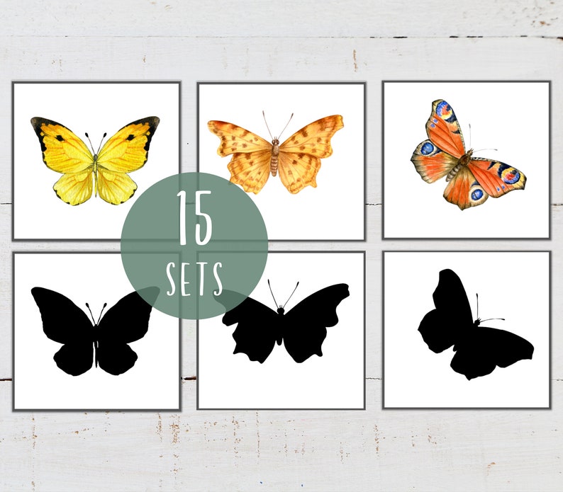 BUTTERFLY Pre-k and K Activity Pack, Homeschool, Digital, Instant ...