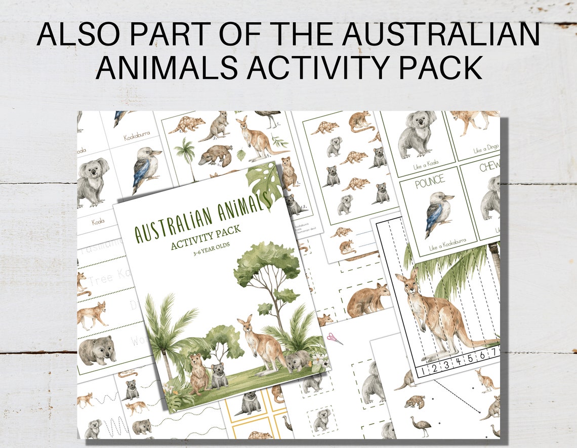 ANIMAL MOVEMENT CARDS, Australian Animals, Calm Down Activity, Kids ...