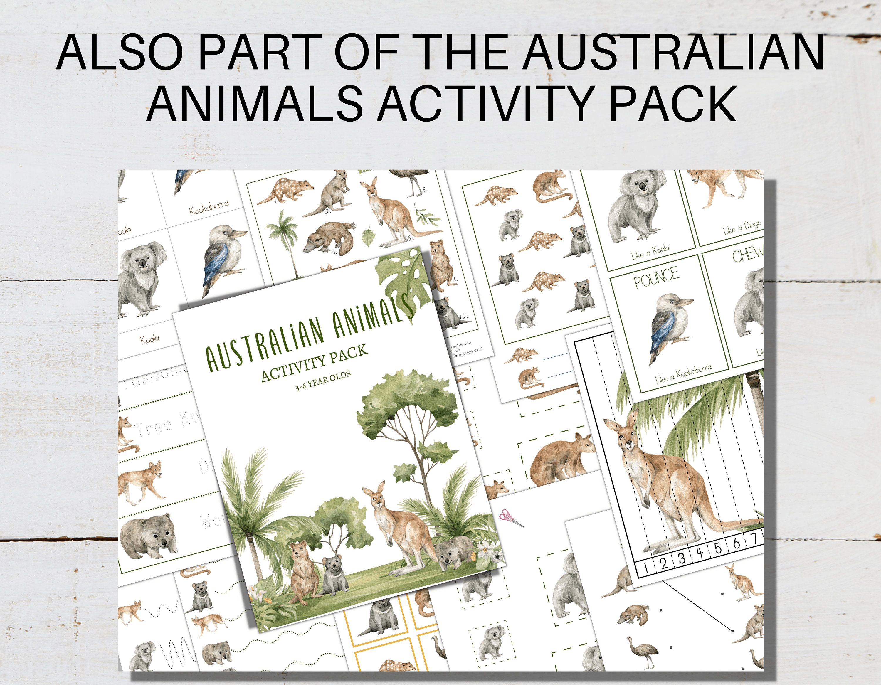 ANIMAL MOVEMENT CARDS, Australian Animals, Calm Down Activity, Kids ...