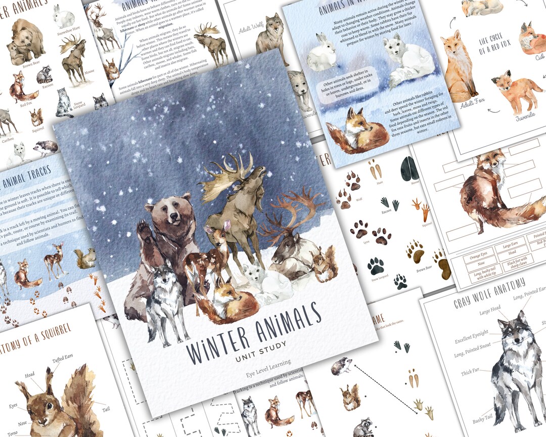 WINTER ANIMALS Unit Study, Life Cycle, Anatomy, Nature Study, Science ...