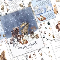 Groundhog Life Cycle Activity Pack – Fun and Educational Resource for ...