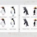 PENGUINS Mini Poster 3-part Cards, 18 Penguins, Homeschool, Montessori ...