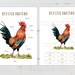 CHICKEN Mini Unit Study Life Cycle Anatomy Nature Study - Etsy