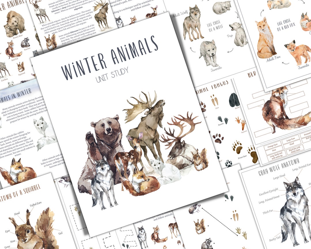 WINTER ANIMALS Unit Study, Life Cycle, Anatomy, Nature Study, Science ...
