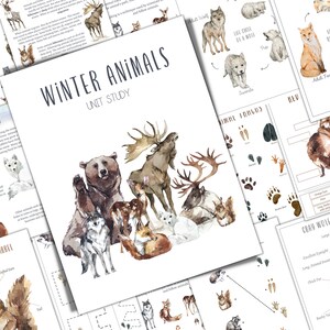 WINTER ANIMALS Unit Study, Life Cycle, Anatomy, Nature Study, Science ...