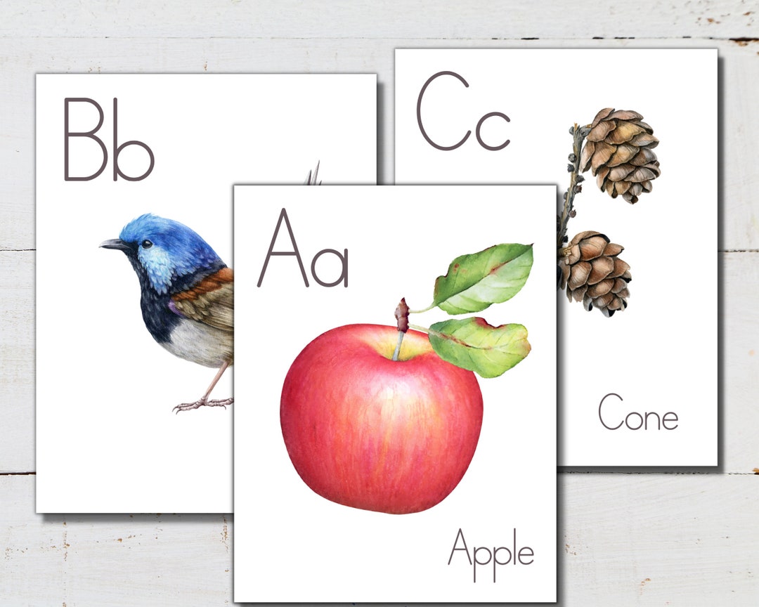 Alphabet Posters, Large Format for Classroom Use - Etsy