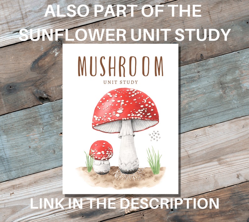 MUSHROOM Anatomy Poster, Labeling and Tracing Activity, Homeschool ...