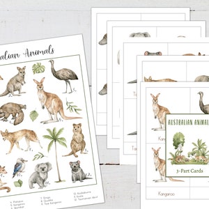 AUSTRALIAN Animals Pre-k and K Activity Pack, Homeschool, Digital ...