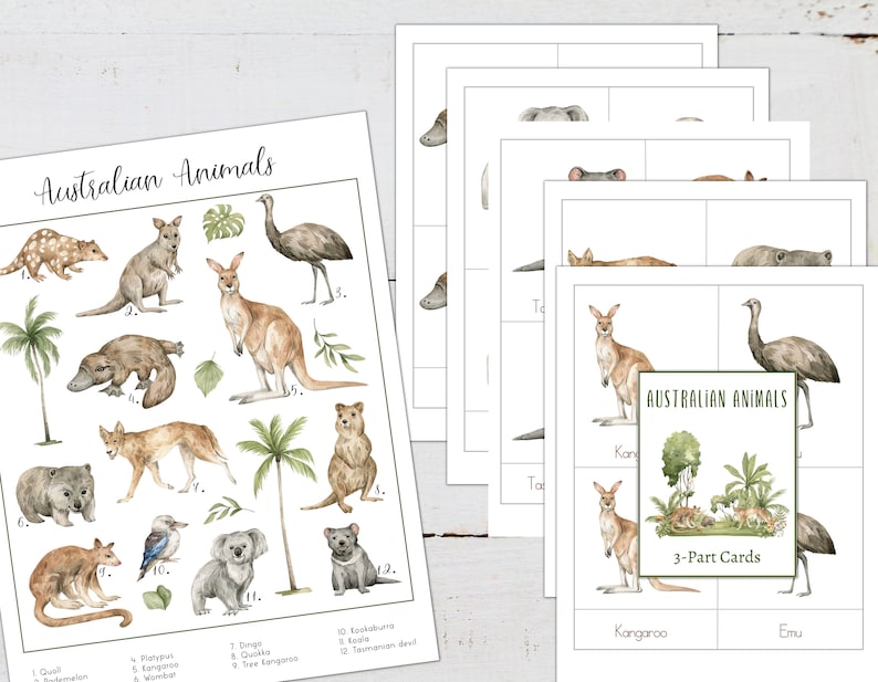AUSTRALIAN Animals Pre-k and K Activity Pack Homeschool - Etsy