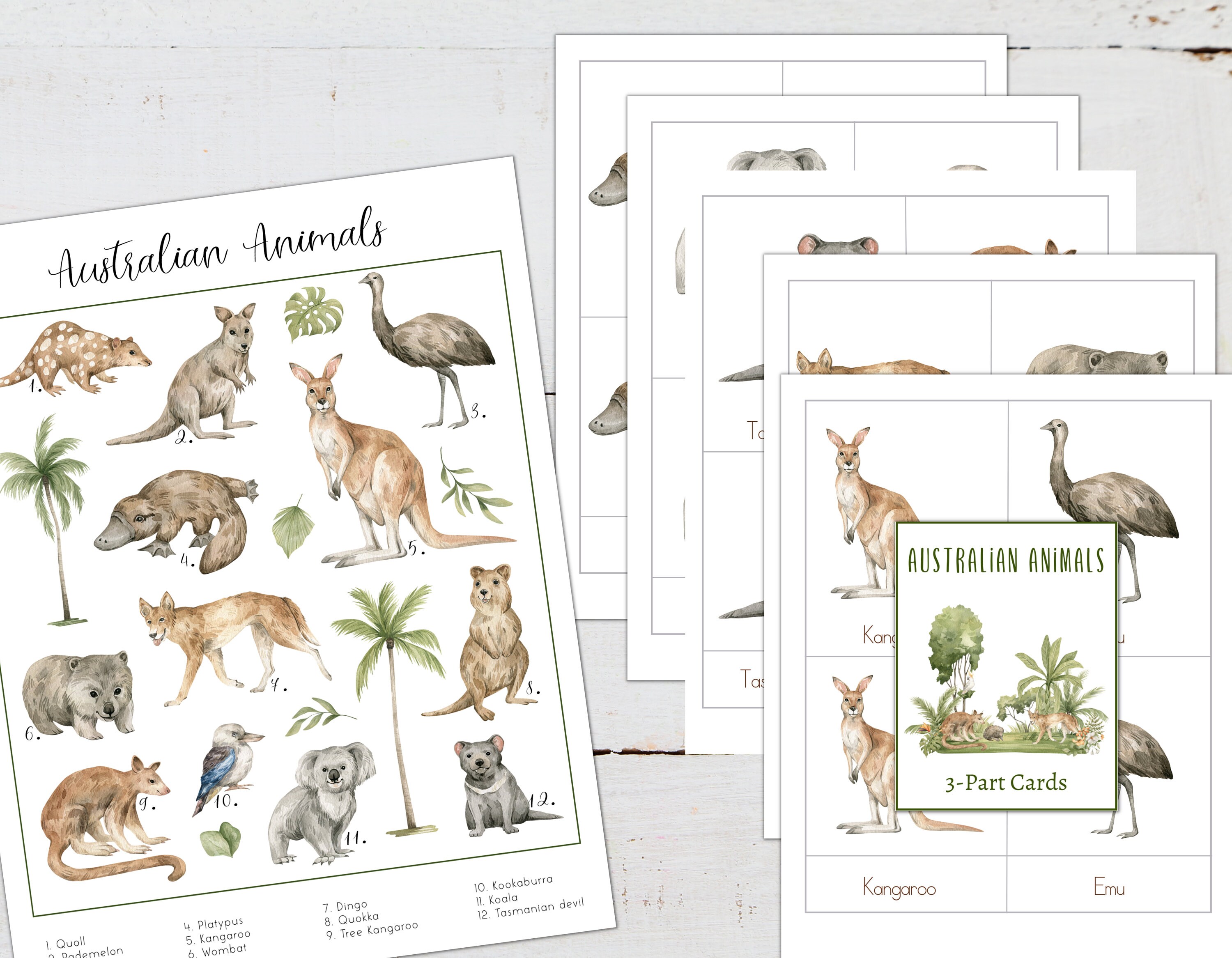 AUSTRALIAN Animals Pre-k and K Activity Pack Homeschool - Etsy