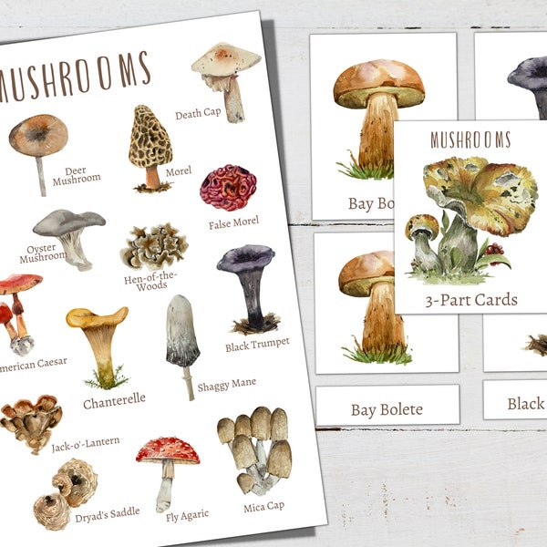 Mushroom Poster - Etsy