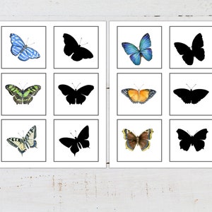 BUTTERFLY Shadow Matching, Silhouette Matching, Montessori at Home ...