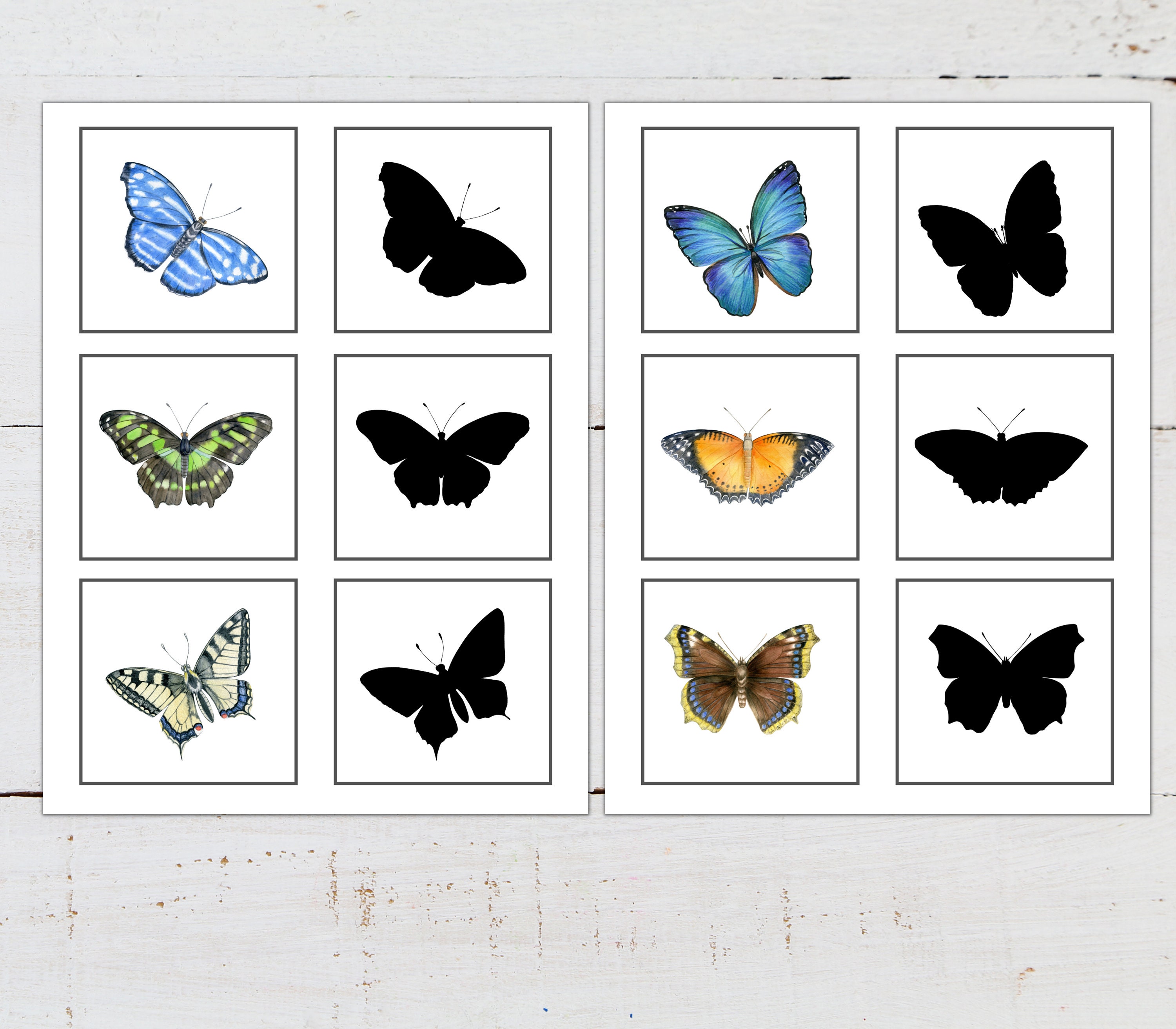 BUTTERFLY Shadow Matching, Silhouette Matching, Montessori at Home ...