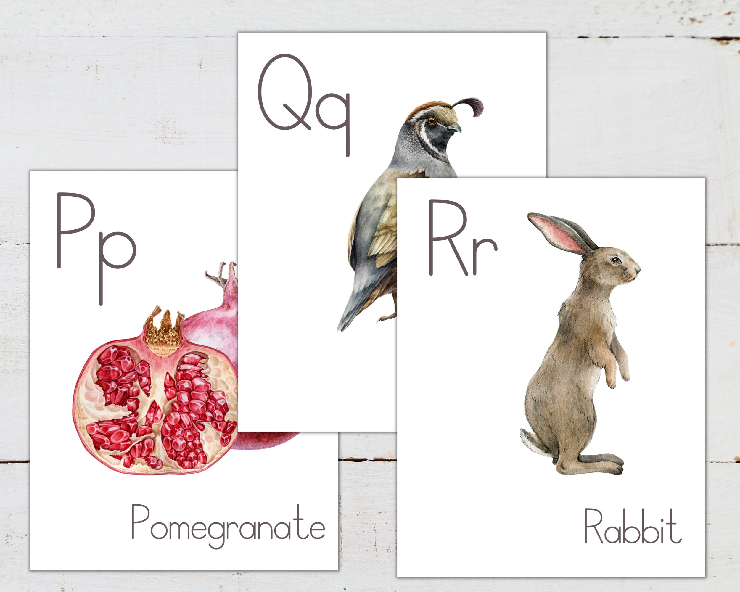 Alphabet Posters, Large Format for Classroom Use - Etsy