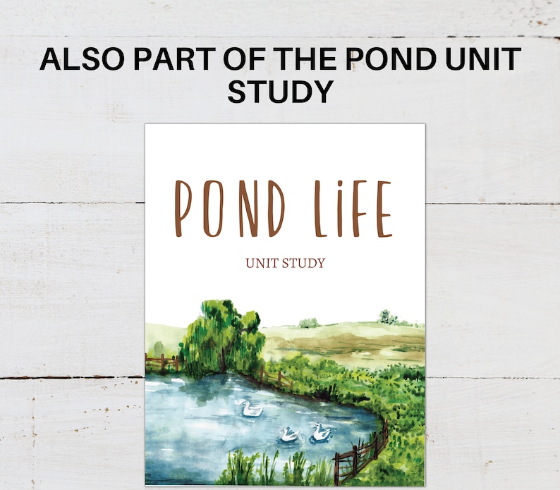POND LIFE Poster + 3-part Cards, Nature Study, Instant DOWNLOAD - Etsy