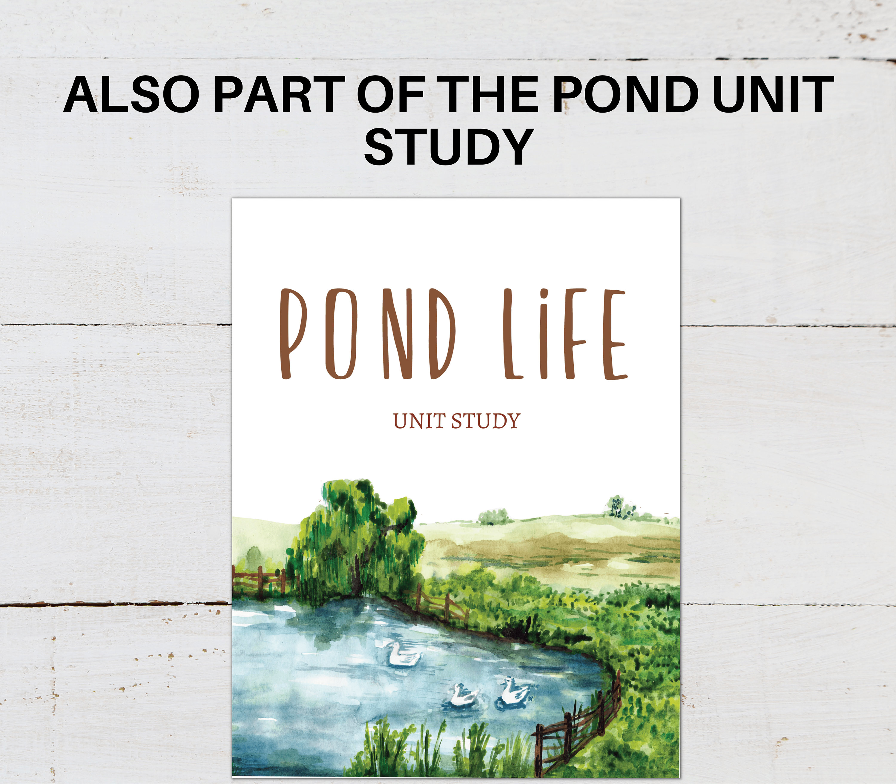 POND LIFE Poster + 3-part Cards, Nature Study, Instant DOWNLOAD - Etsy
