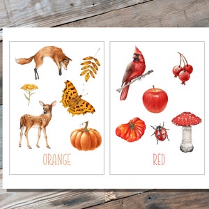 COLORS in Nature Flashcards, Color Flashcards, Vocabulary, Montessori ...