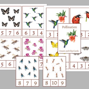 POLLINATOR Unit Study, Anatomy, Nature Study, Science, Homeschool ...