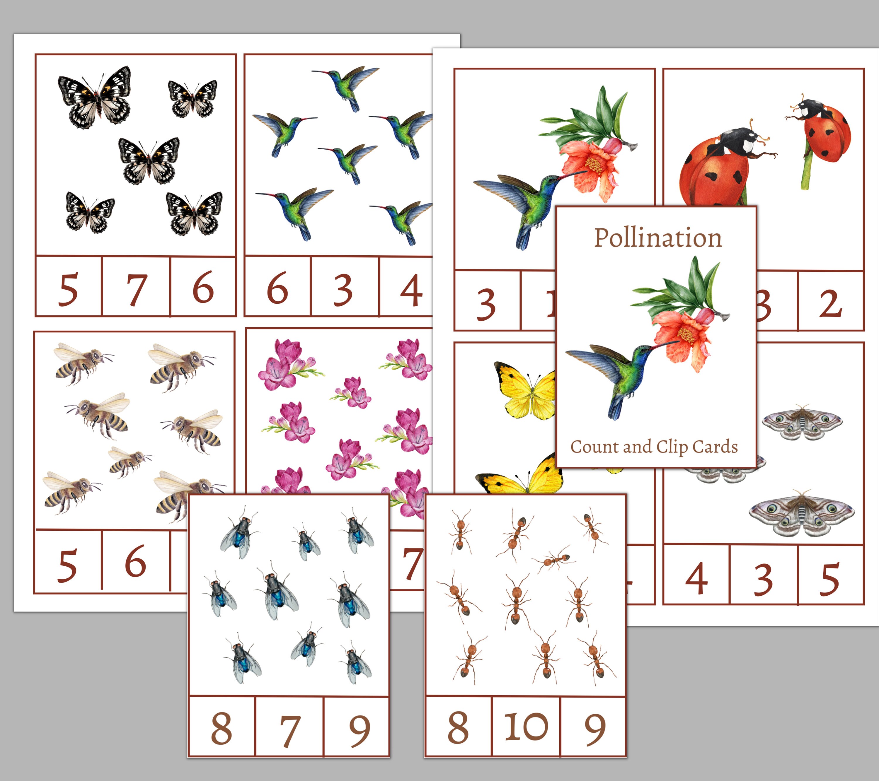 POLLINATOR Unit Study Anatomy Nature Study Science - Etsy Australia
