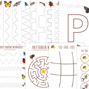 POLLINATOR Unit Study, Anatomy, Nature Study, Science, Homeschool ...