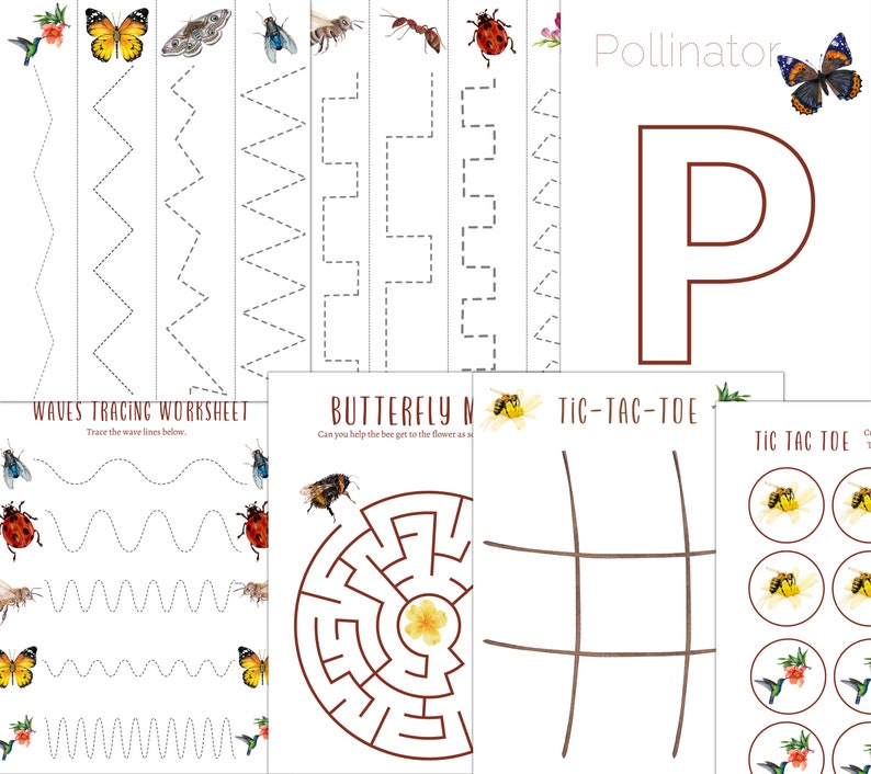 POLLINATOR Unit Study Anatomy Nature Study Science - Etsy
