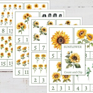 SUNFLOWER Unit Study, Life Cycle, Anatomy, Nature Study, Science ...