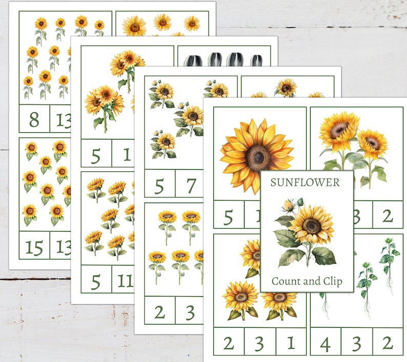 SUNFLOWER Unit Study, Life Cycle, Anatomy, Nature Study, Science ...