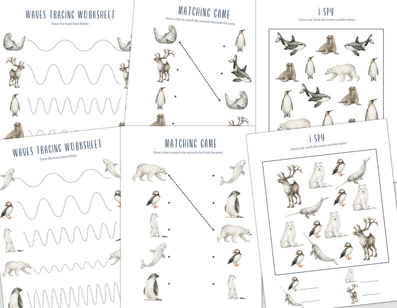 POLAR Animals Pre-k and K Activity Pack Homeschool Digital - Etsy