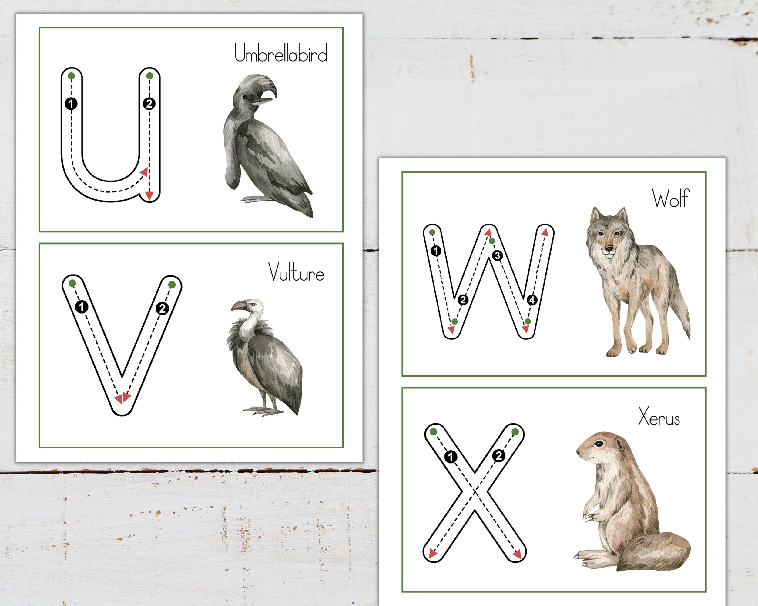 ANIMALS ABC Tracing Cards, A to Z Tracing and Coloring, Instant ...