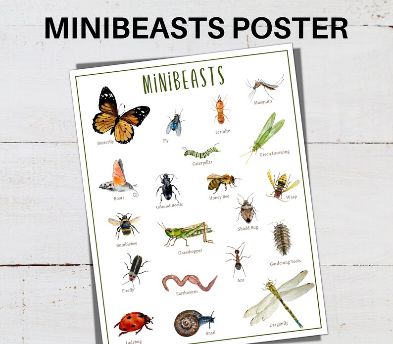 MINIBEASTS Mini Poster 3-part Cards Homeschool Montessori - Etsy