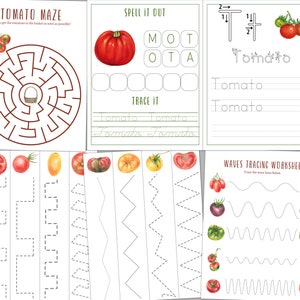 TOMATO Unit Study, Life Cycle, Anatomy, Nature Study, Science ...