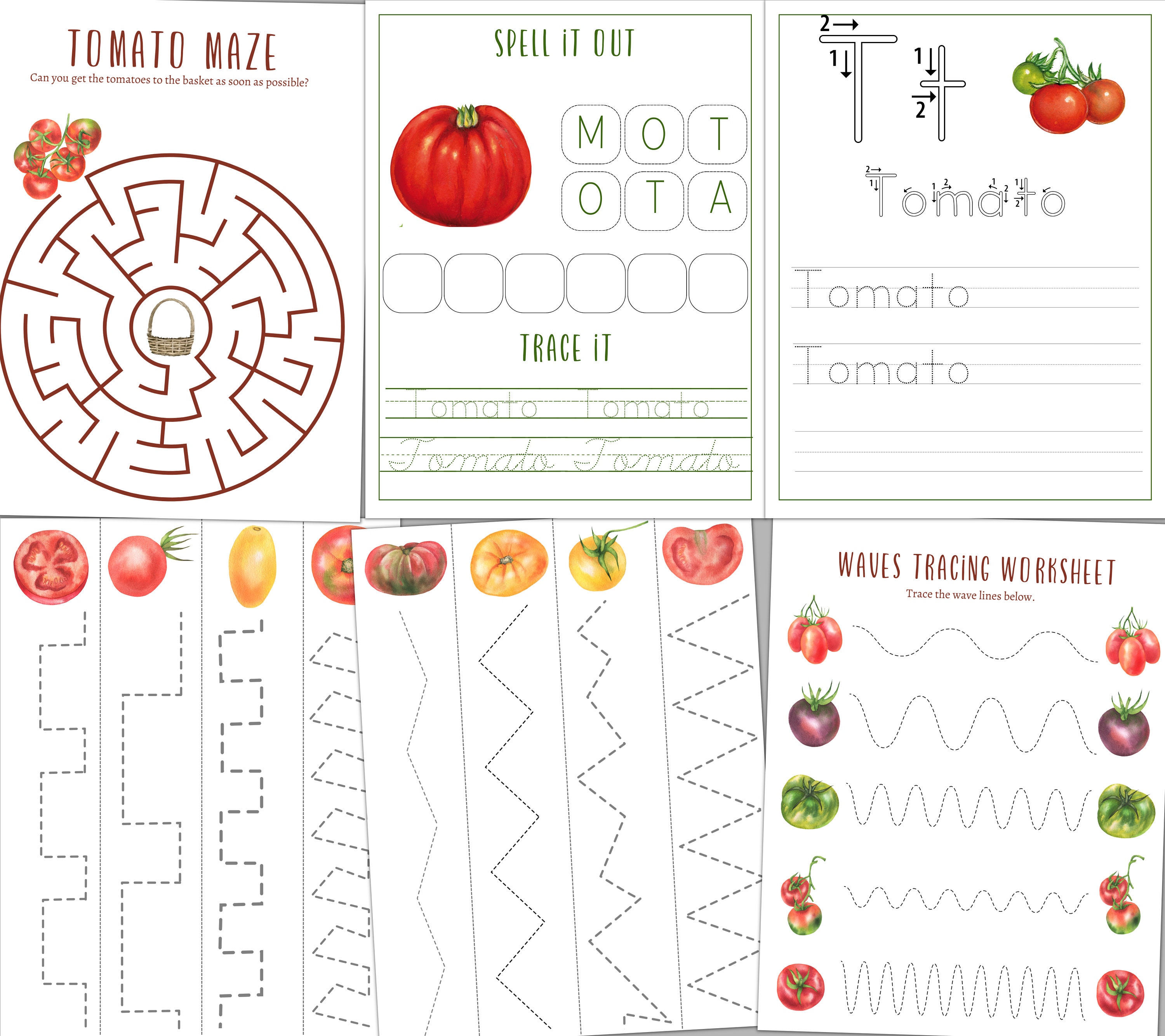 TOMATO Unit Study, Life Cycle, Anatomy, Nature Study, Science ...