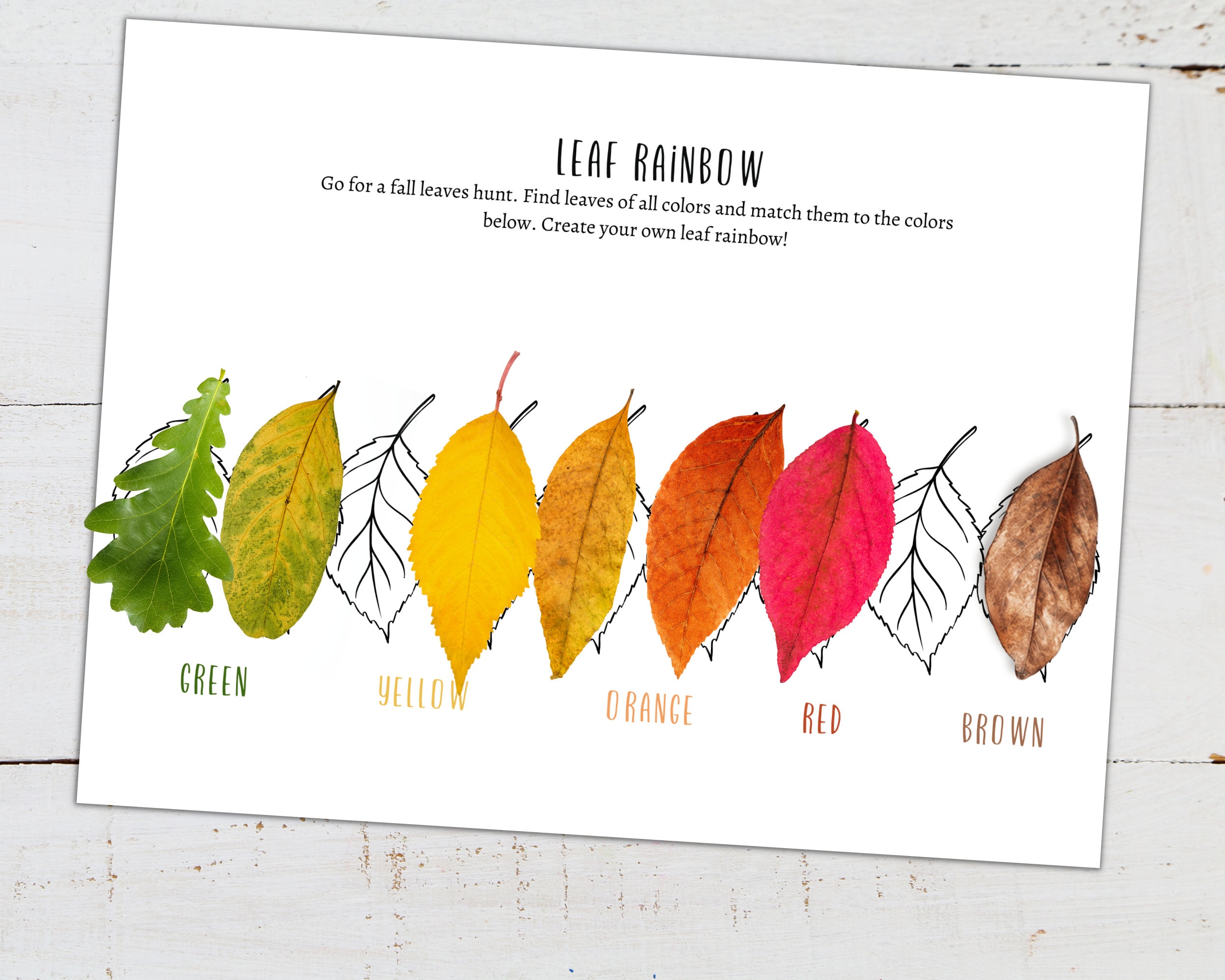 AUTUMN LEAVES Pre-k and K Activity Pack, Homeschool, Digital, Instant ...
