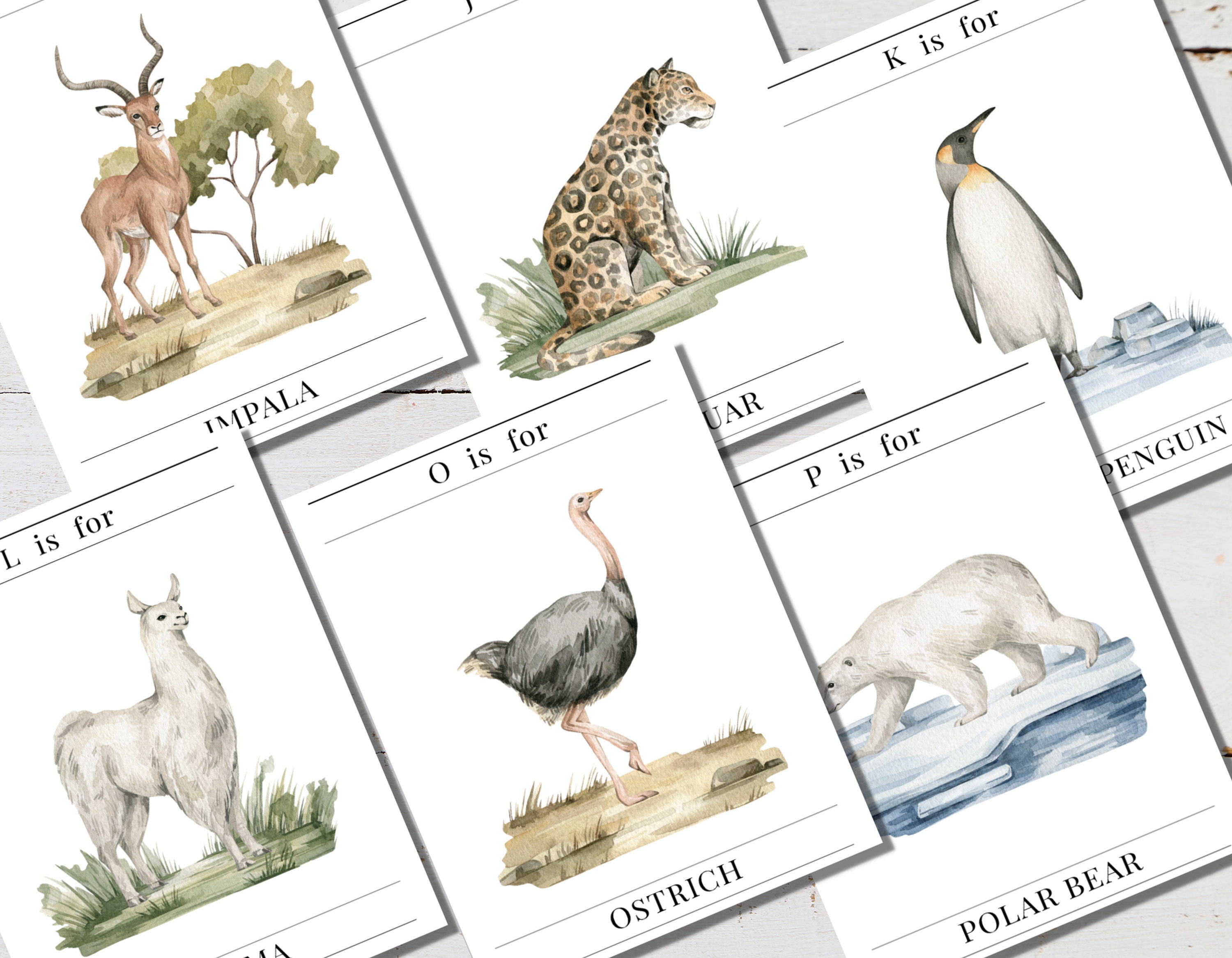 Animal ABC Flashcards, Animal Flash Cards Learning Cards Digital ...