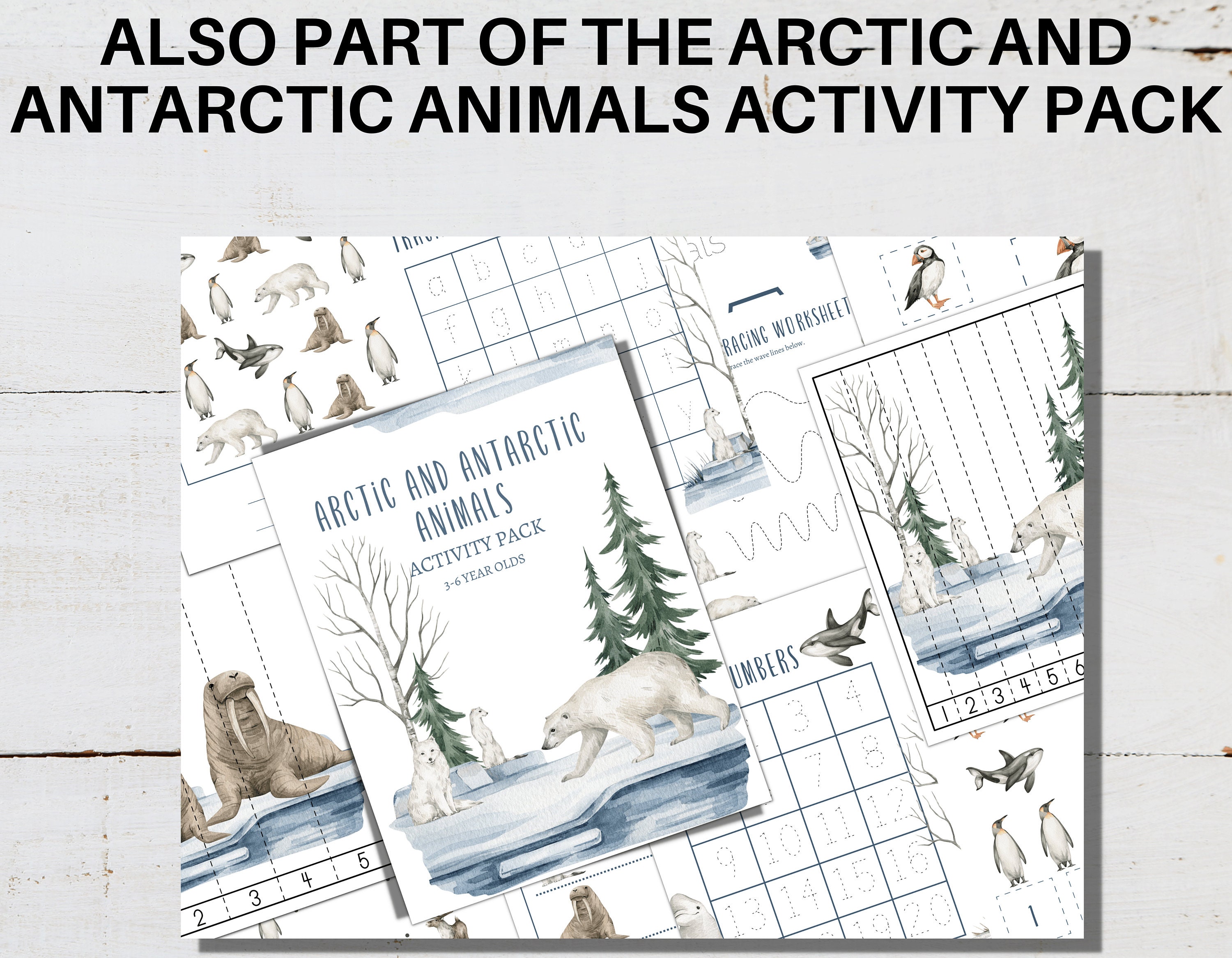 POLAR Animals MOVEMENT CARDS, Forest Animals, Calm Down Activity, Kids ...