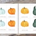 PUMPKIN Varieties Mini Poster + 3-part Cards, Homeschool, Montessori ...