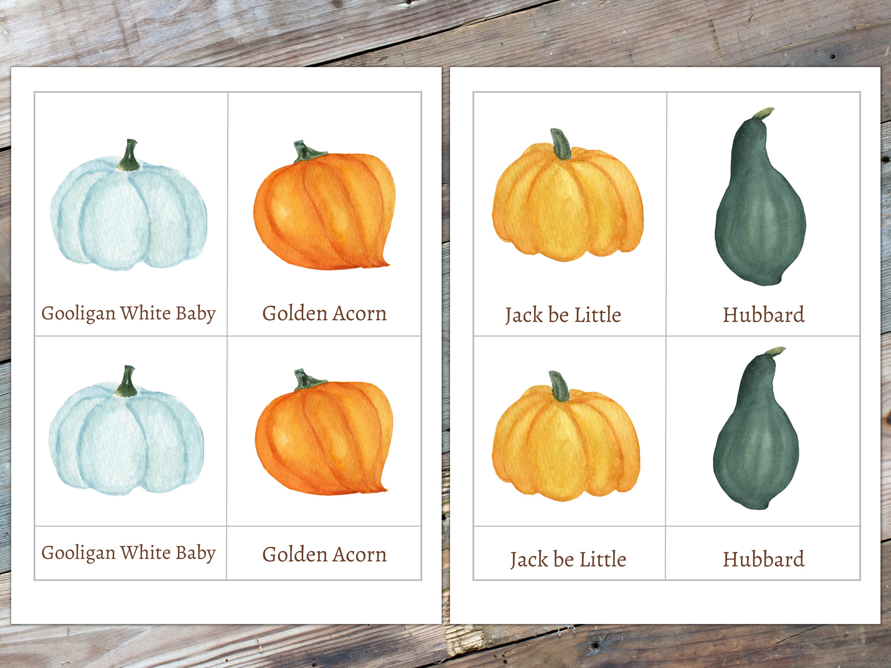 PUMPKIN Varieties Mini Poster + 3-part Cards, Homeschool, Montessori ...